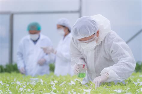 과학자는 녹색 집 농장에서 식물 채소를 공급하기 위한 물 화학 물질을 확인하고 테스트합니다 첨단 기술을 갖춘 유기농 농장 미래의