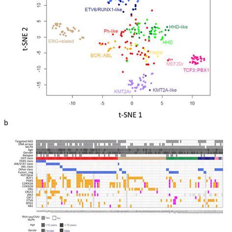 A Two Dimensional Tsne Plot Of 289 Paediatric Bcp All Cases Based On