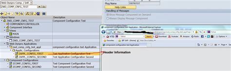 Techsap Controlling Ui Elements Of The Webdynpro View By Application Configuration And Component