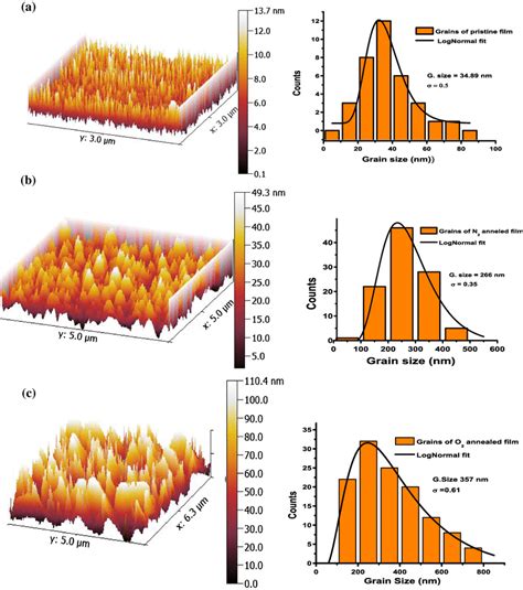 3 D Afm Images In Left Panel In Right Panel The Size Distribution