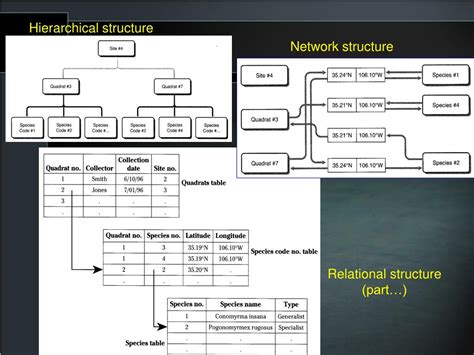 Ppt Gis Databases Powerpoint Presentation Free Download Id 1271956