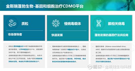 公司百科 走进金斯瑞蓬勃生物 基因与细胞治疗 CDMO案例分享 金斯瑞生物科技 01548 本期我们将目光转向金斯瑞蓬勃生物的基因与