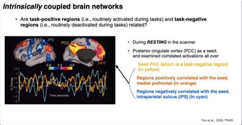 Cog Neuro Lecture 7 Attention Flashcards Quizlet