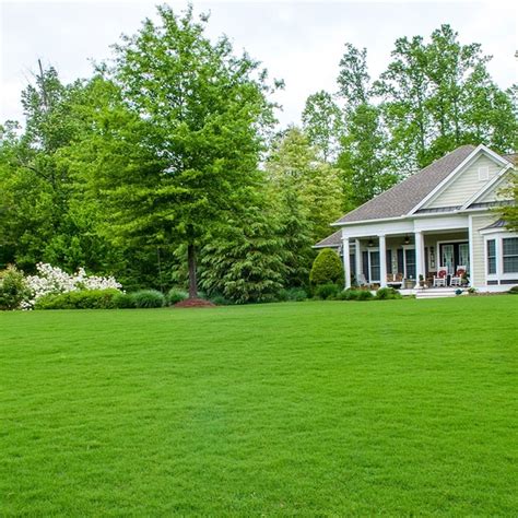 Как избавить участок от лишней воды и не дать урожаю утонуть Если вы недавно приобрели садовый