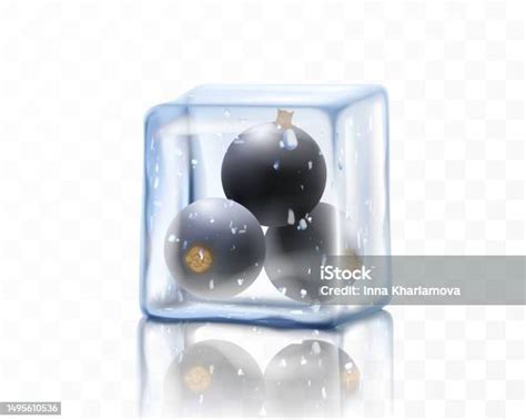 얼음 조각에 있는 신선한 익은 검은 건포도는 투명한 배경에 분리되어 있다 냉동 검은 건포도 열매 사실적인 3d 벡터 그림 3차원 형태에 대한 스톡 벡터 아트 및 기타 이미지