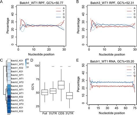 figure 1 from optimization of ribosome profiling using low input brain