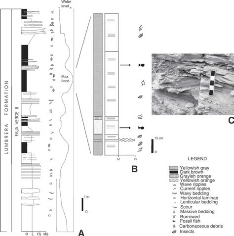 Stratigraphic Section At Aleman í A Locality A Stratigraphic Column Download Scientific