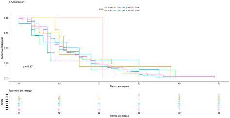 R Why Do I Have Differences Making A Kaplan Meier Analysis Using The Same Code And Data