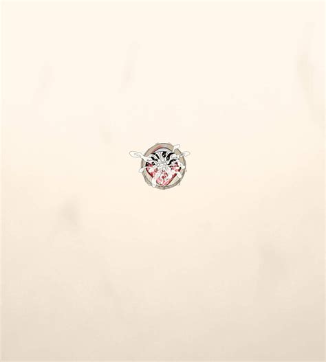 Nel Zel Formula Nel Zel Formula Kabe No