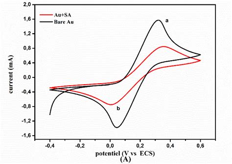 A Cyclic Voltammetry At A Scan Rate Of 100 Mvs 1 B Nyquist