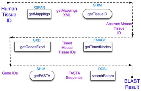 Detailed Workflow This Workflow Shows The Web Services Involved In Download Scientific Diagram