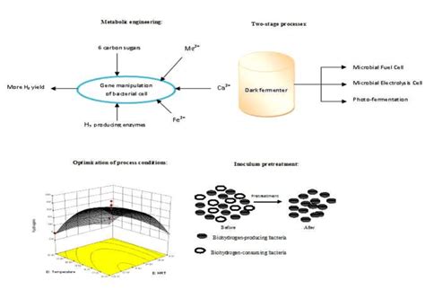 Optimization Strategies For Dark Fermentative Biohydrogen Production