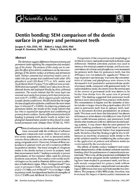 Pdf Dentin Bonding Sem Comparison Of The Dentin Surface In · Pdf Filedentin Bonding Sem