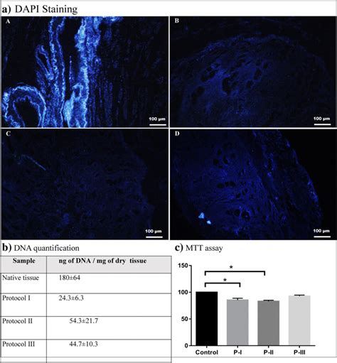 Dapi A Staining And Dna Quantification B Of The Native Tissue A Download Scientific