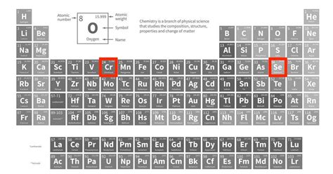 Chromium And Selenium In Aws Lambda By Vittorio Nardone Level Up Coding