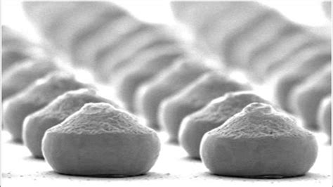 Plastic Encapsulation Packaging And Assembly Alter