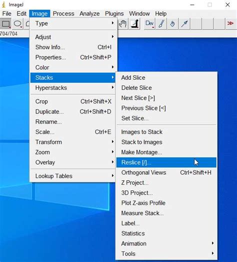 Manual Segmentation In Imagejfiji My Home