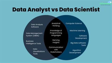 Data Scientists Vs Data Analysts Roles Skills And Careers