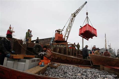 Россия нарастила экспорт моллюсков в 15 раза в блоге Статистика Сделано у нас