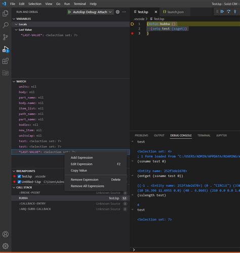 Unable To Step Into Selection Sets And Entity Objects Through Visual Code Issue