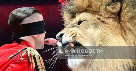 Международный фестиваль циркового искусства Идол 2025 РИА Новости Медиабанк