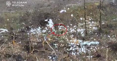 ЗСУ знищили Війна в Україні Цензор НЕТ