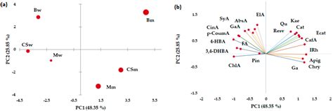 Applied Sciences Free Full Text Assessment Of Bioactive Phenolic Compounds In Musts And The