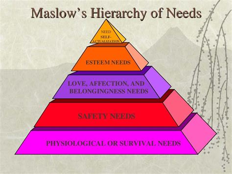 Maslow Hierarchy Of Needs Maslow S Hierarchy Of Needs Nursing Theory Hierarchy