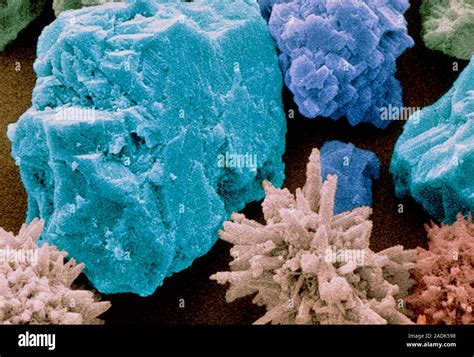 Is Toothpaste A Abrasive At Martha Holt Blog