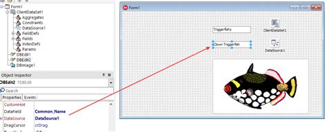 LiveBindings In VCL Part LiveBinding DataSets DelphiABall