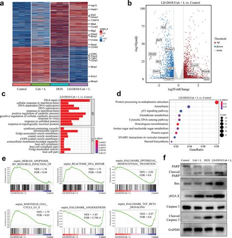 A Heat Map Of Differentially Expressed Genes DEGs In 4T1 Cells After
