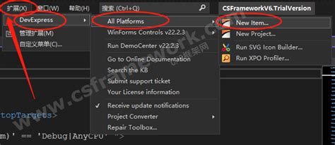 vs2022 7 部署 devexpress v22 2 开发包 开发教程 c s框架网