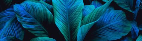 Dentons Dentons Partners Chloe Snider And Chelsea Wilson Recognized As Leading Lawyers Under