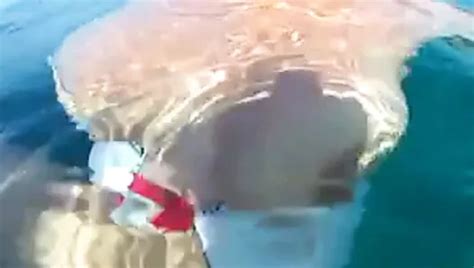 Sex Underwater Exercide Xhamster