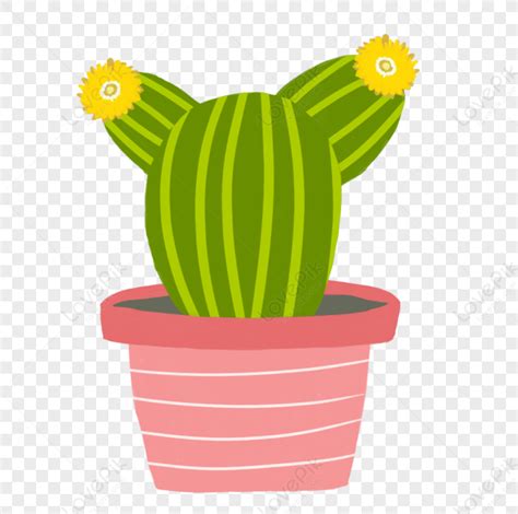 화분에 심은 선인장 Png 일러스트 무료 다운로드 Lovepik
