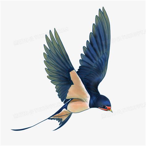 Png Png