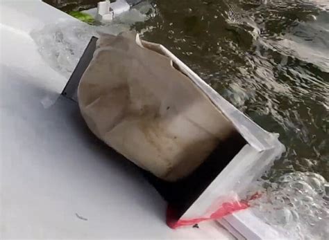 Garbage Collector By Student Scoops Ocean Trash With Waves