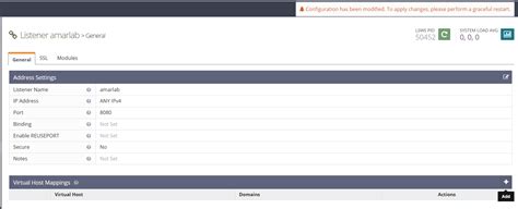 instalasi dan konfigurasi virtualhost openlitespeed idn id