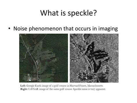 Matlab Speckle Noise Algorithm At Emmanuel Jones Blog