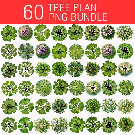 Tree Plan PNG Bundle Tree Plan Stamps Tree Plan Symbols Landscape Tree Symbols Tree Plan