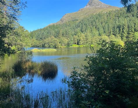 Bryan Millar Walker 2026 All You Must Know Before You Go With Reviews