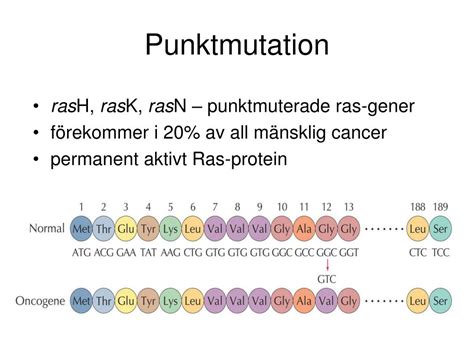 Ppt Cancer Powerpoint Presentation Free Download Id6199343
