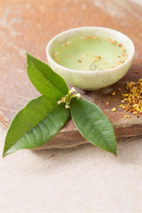 桂花茶 包图企业站