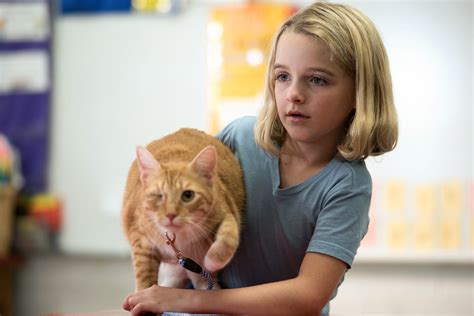 Chris Evans 2017 Drama Becomes A Netflix Hit