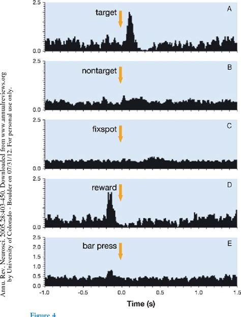 Structure Of Lateral Olfactory Gyrus Semantic Scholar