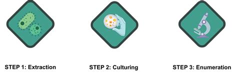 Bioburden Testing Which Method Is The Best