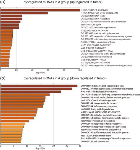 Functional Enrichment Analysis David Annotation Enrichment Analysis By