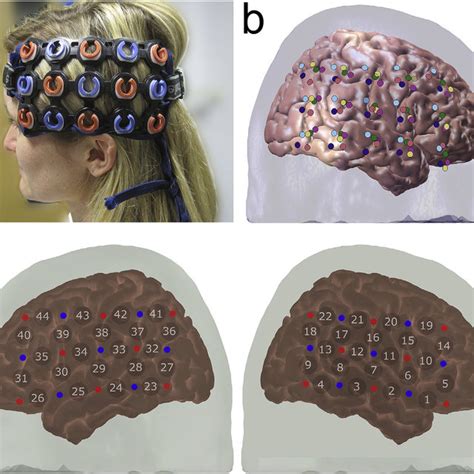 Optode Positioning A Photograph Of The Optode Array Holder Without Download Scientific