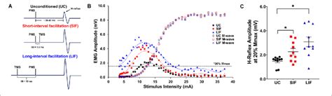 A Schematic Representation Of Stimulation Timing For Unconditioned Download Scientific
