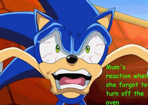 Sonic X Meme No3 By Ilovemycat456 On Deviantart
